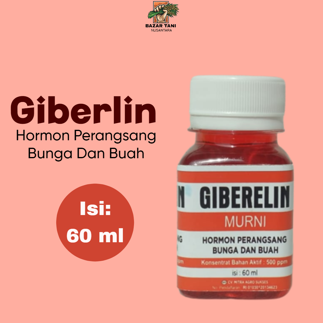 Hormon Giberlin perangsang bunga dan buah murni giberelin zpt buah zat ...