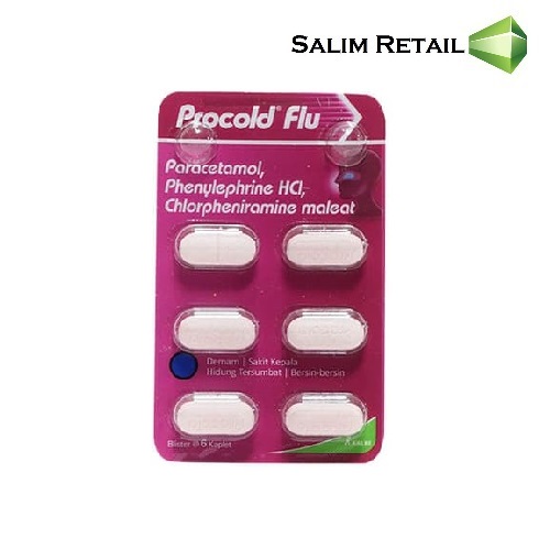 Procold Flu 6 Kaplet | Lazada Indonesia