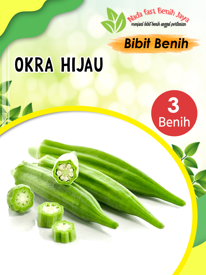 3 Biji benih okra hijau unggulan - bibit okra hijau | Lazada Indonesia