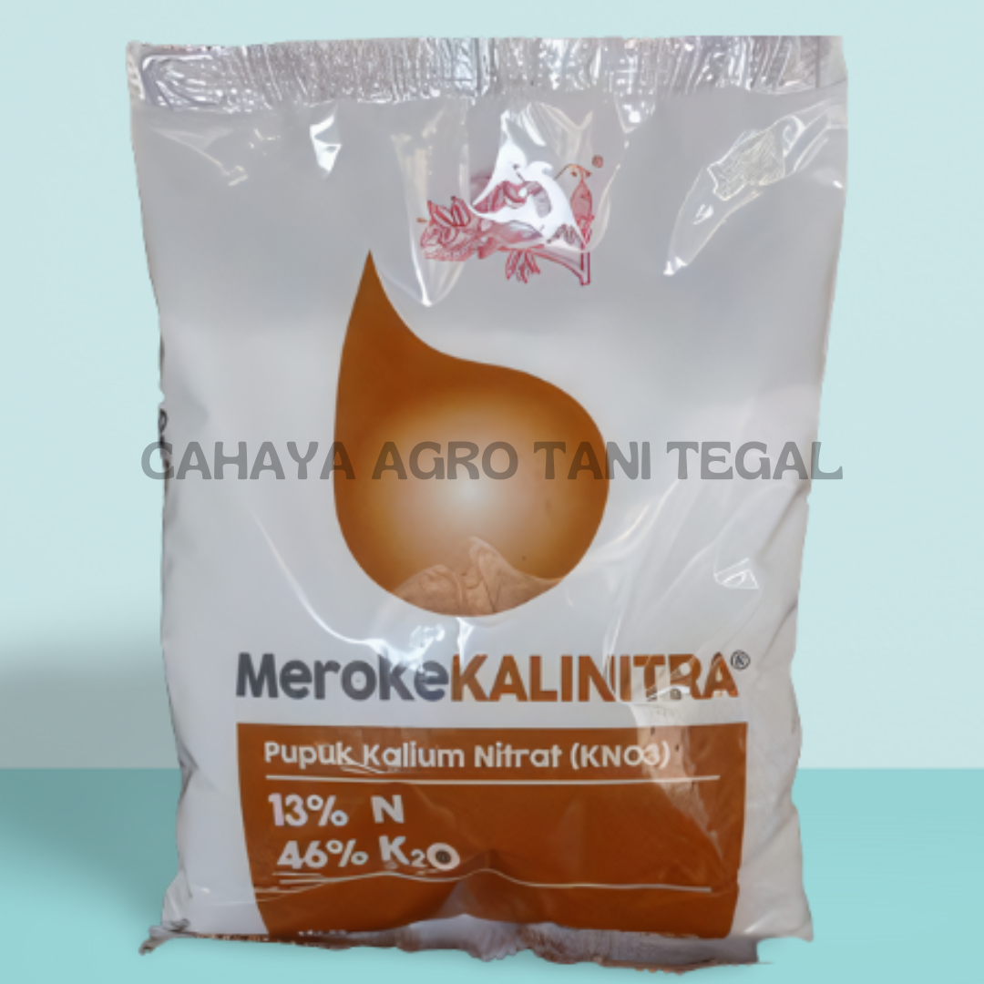 Pupuk Meroke KALINITRA 1kg Pupuk Kalium Nitrat Hidroponik | Lazada ...