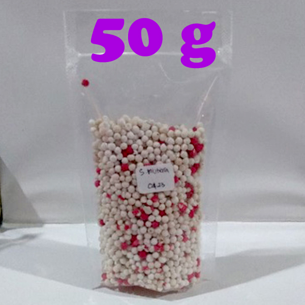 Sagu Mutiara Mentah Sekoteng Sakoteng 100g 50g | Lazada Indonesia