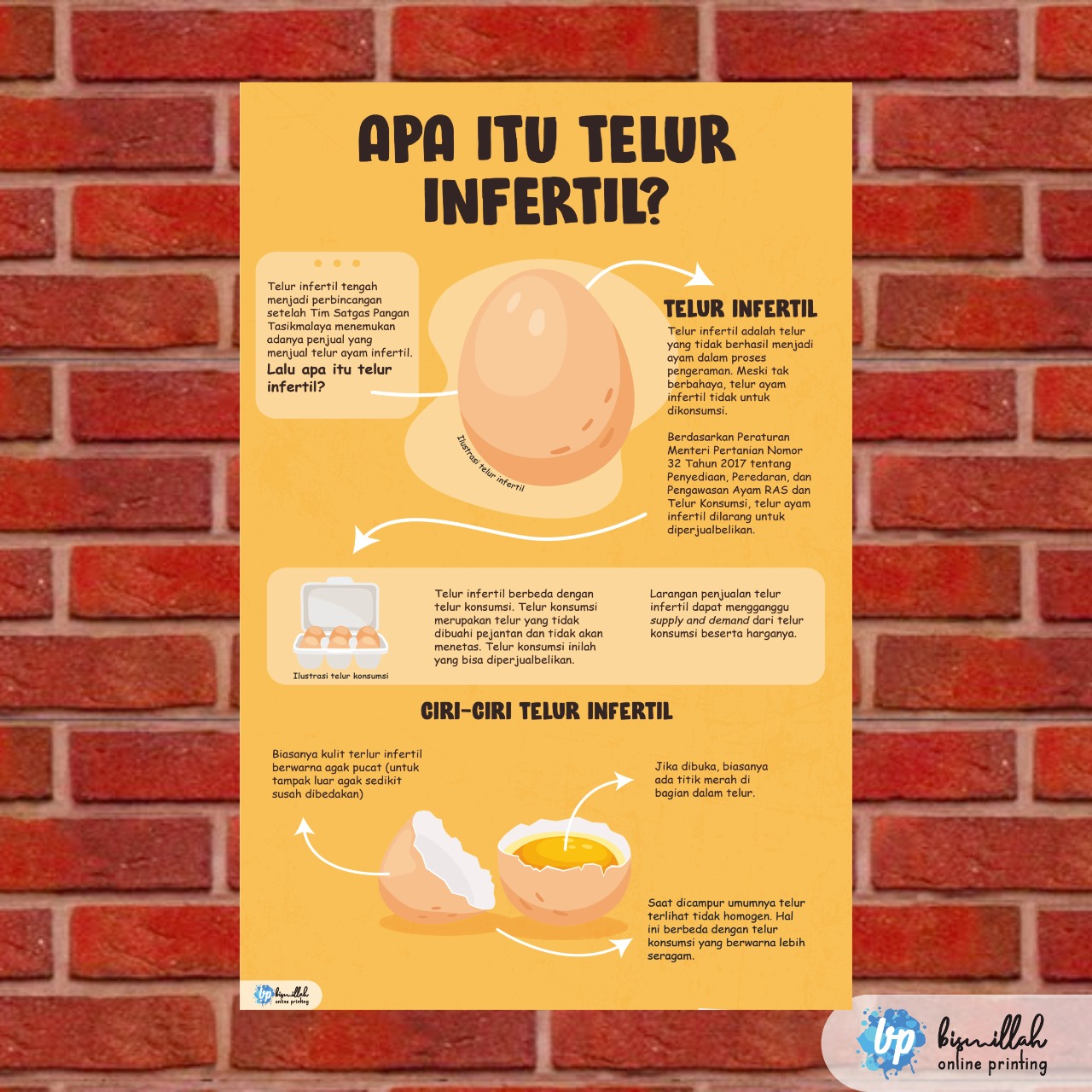 Poster Kesehatan Apa itu telur infertil | Lazada Indonesia