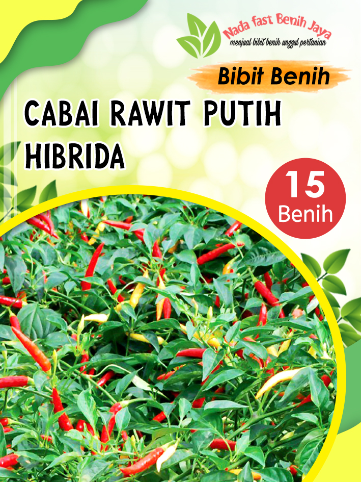 15 biji benih cabe rawit putih HIBRIDA - bibit cabai rawit setan ...