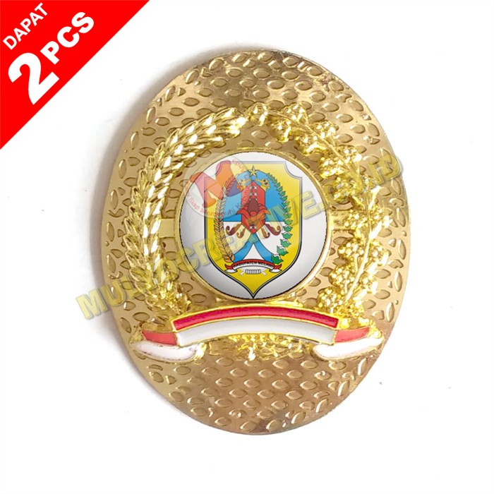 Lencana Pin Bros Melawi Pin Logo Kabupaten Melawi Lencana Wing Bros ...