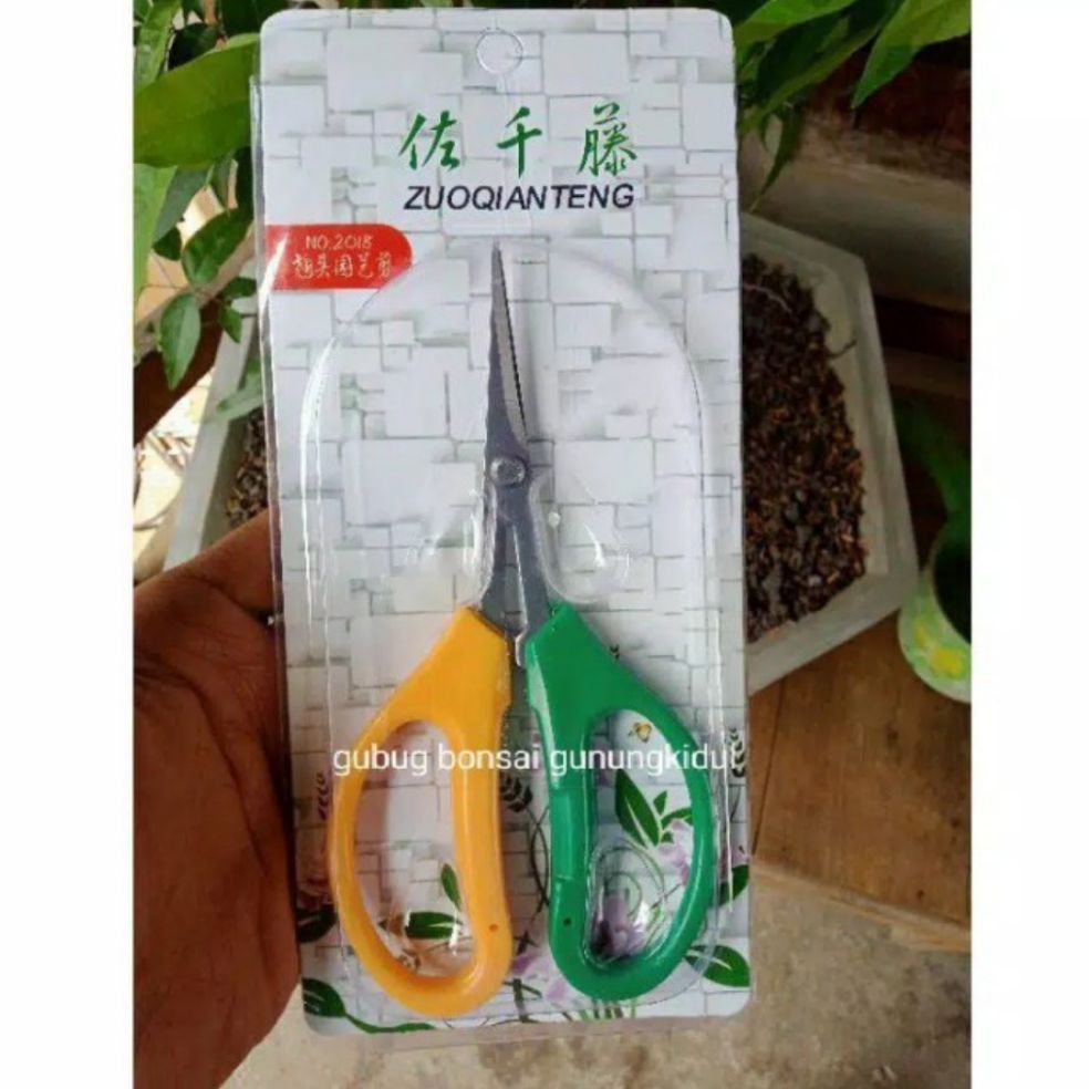 Gunting Pruning Ranting Daun Bunga Buah Bonsai | Lazada Indonesia