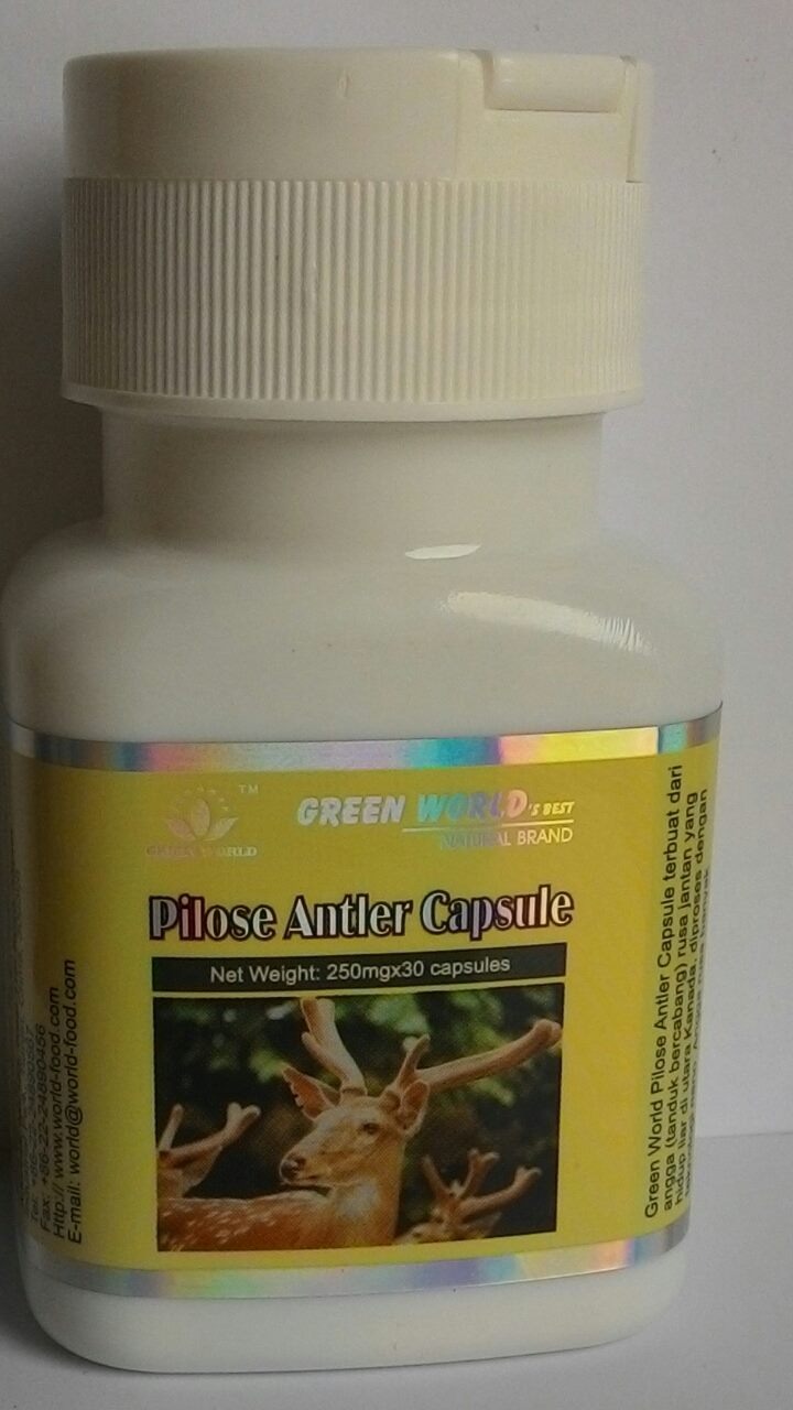 Pilose antler capsule Green World / Meingkatkan imunitas, vitalitas dan ...