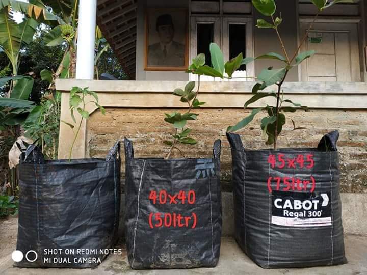 Planter Bag Bahan Terpal - Jual PlanterBag - Pot Tanaman - Tas Tanaman ...