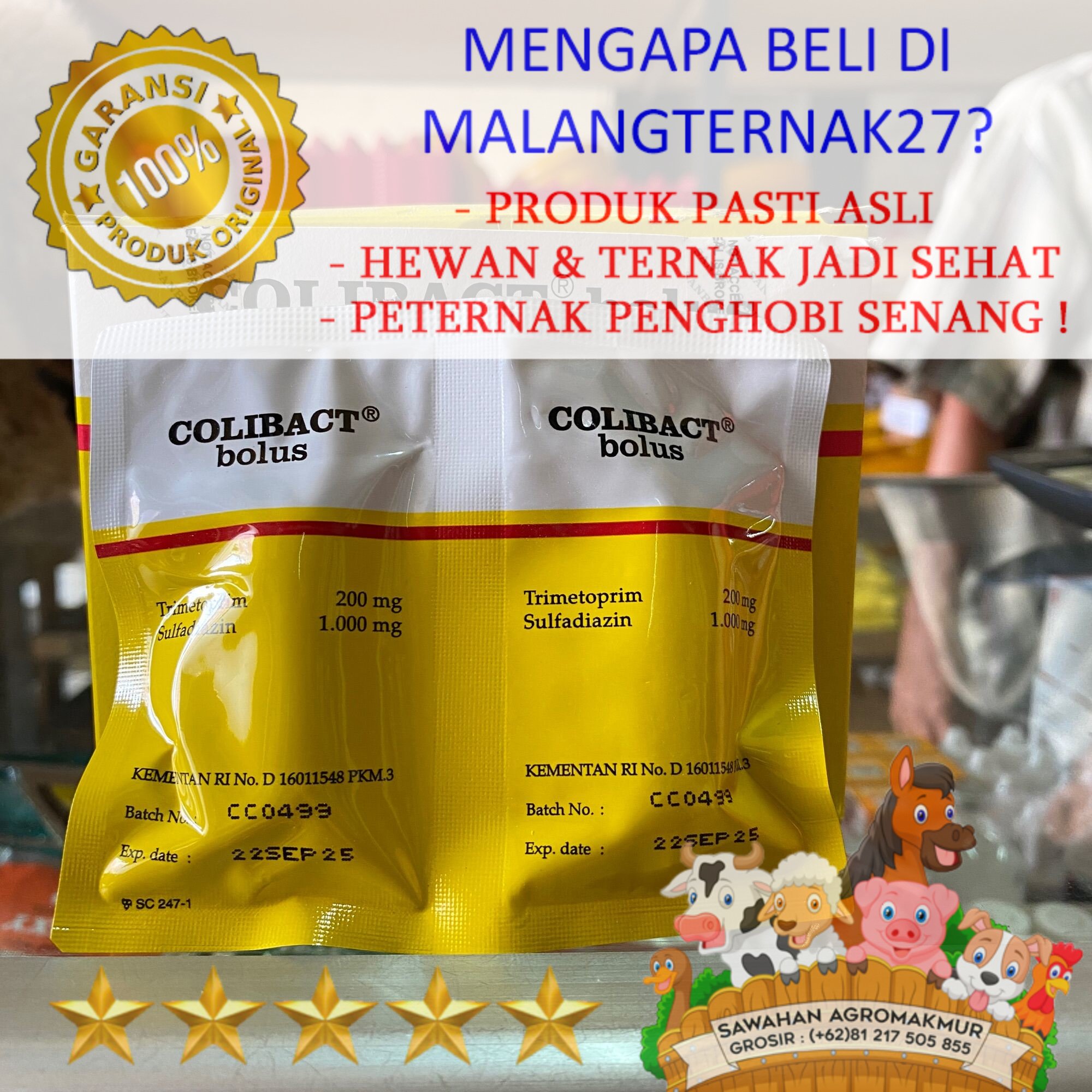 COLIBACT BOLUS 1 BOX ISI12 BOLUS OBAT HEWAN BATUK PILEK MENCRET SAPI ...