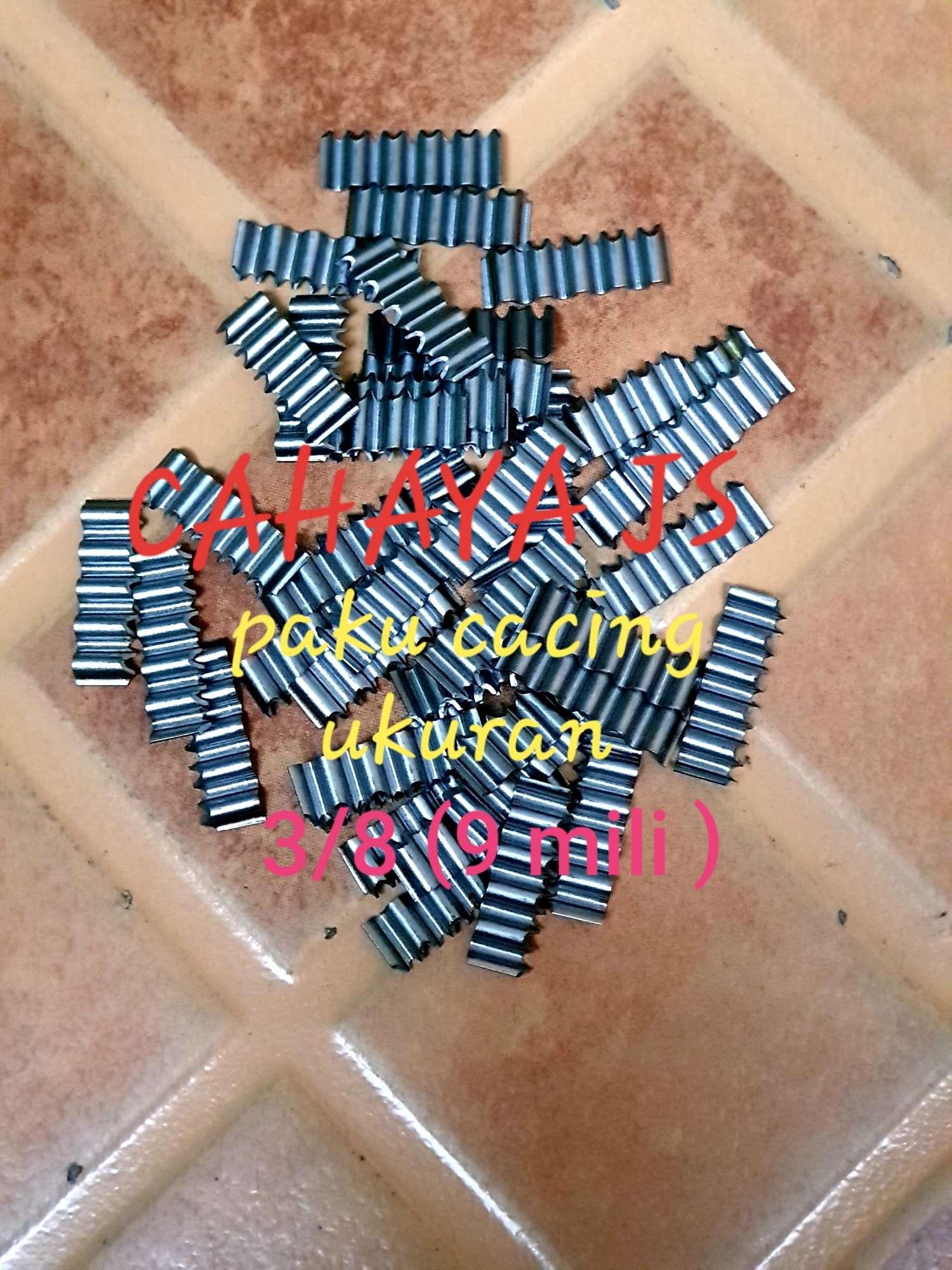 PAKU CACING / PAKU JEPIT PAPAN DAN KAYU/PAKU KLEM KAYU 9 MILI | Lazada ...