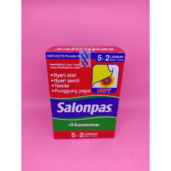Salonpas Hot Box | Lazada Indonesia