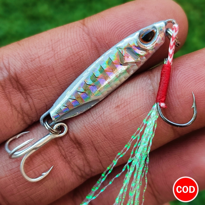 Micro jig 4cm/10gr Lengkap Assisthook Dan Treblehook Umpan Jigging ...