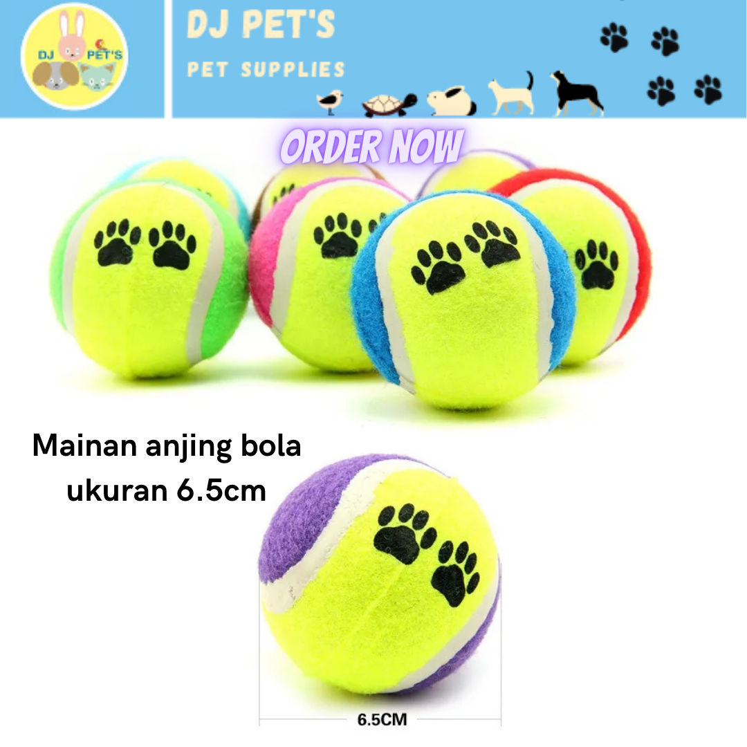 Mainan anjing dan kucing anabul bola tenis interaktif awet | Lazada ...
