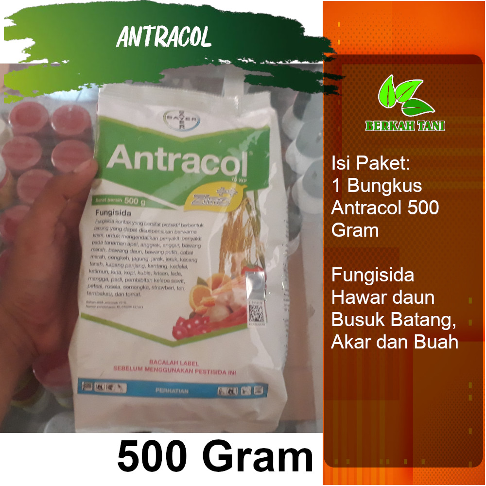 Antracol 500 Gram Fungisida Busuk Batang Busuk Akar dan Bercak Daun ...