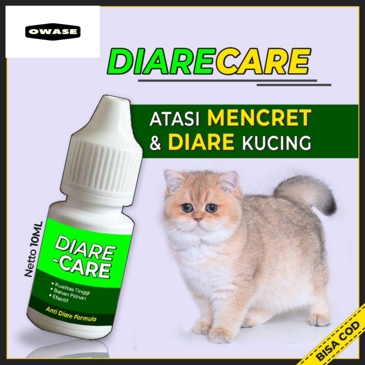 Obat Diare Kucing Obat Mencret Kucing Obat Keracunan Kucing Obat Muntah ...