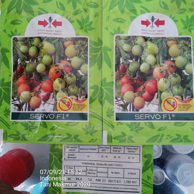 Benih Tomat Servo F1 5gram Original Panah Merah 1.750 Butir | Lazada ...