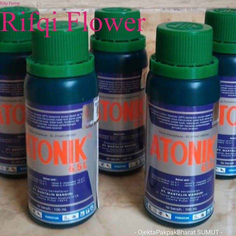 Obat Hormon ATONIK/ZPT 100 Mg (Zat Penumbuh Tunas Daun) Penyubur ...