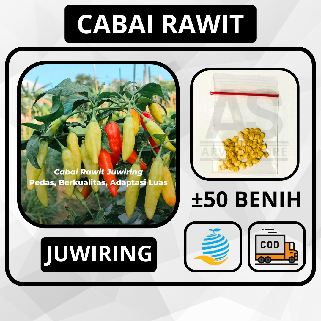 50 Butir - Cabe Rawit JUWIRING Tunas Agro Bibit Cabai Sayuran Tanamann ...