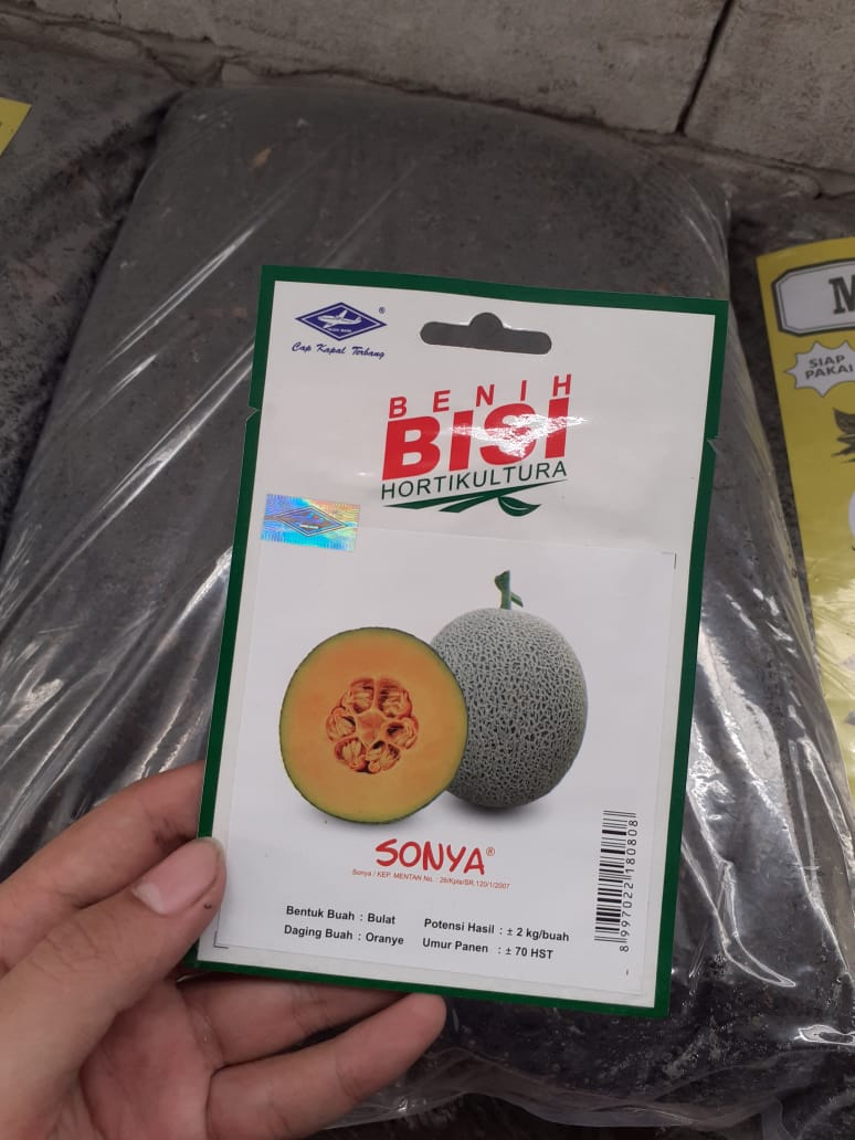 Benih melon oren isi 15 biji | Lazada Indonesia
