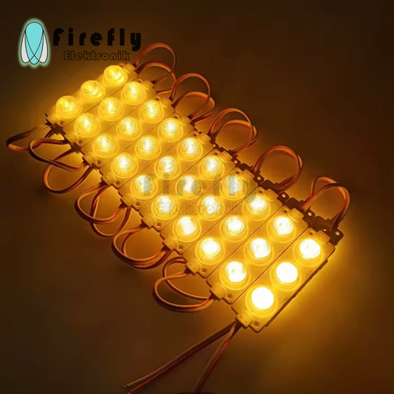 Lampu LED Modul 3 Mata SMD DC 12V/24V waterproof 5730 3LED PUTIH ...