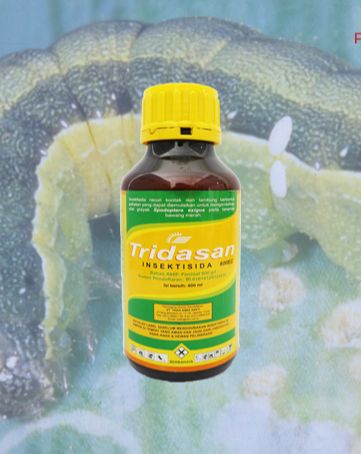 TRIDASAN 600 EC INSEKTISIDA (Fentoat 600 g/l) 400 ml. | Lazada Indonesia