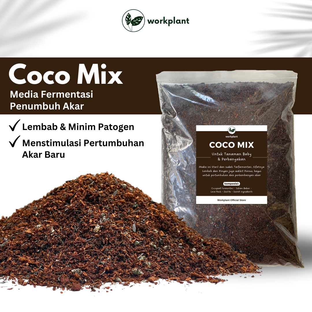 Coco Mix - Media Tanam Fermentasi Siap Pakai untuk Tanaman Baby Cacahan ...