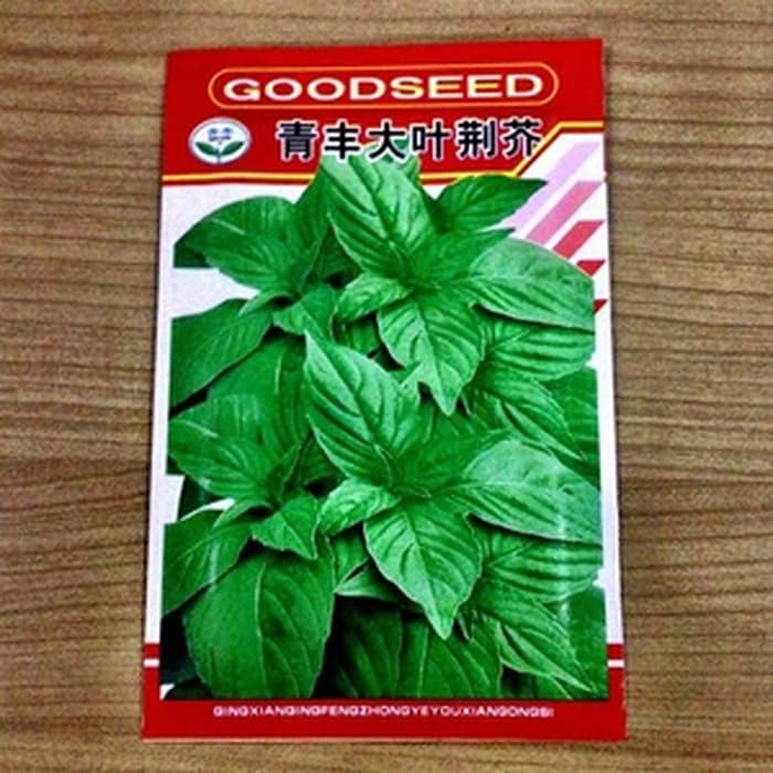 isi 30 benih Basil (Kemangi/Selasih) rapacking seeds/benih biji ...