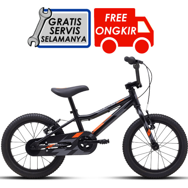 Polygon Champ Sepeda Anak 16 Inci | Lazada Indonesia