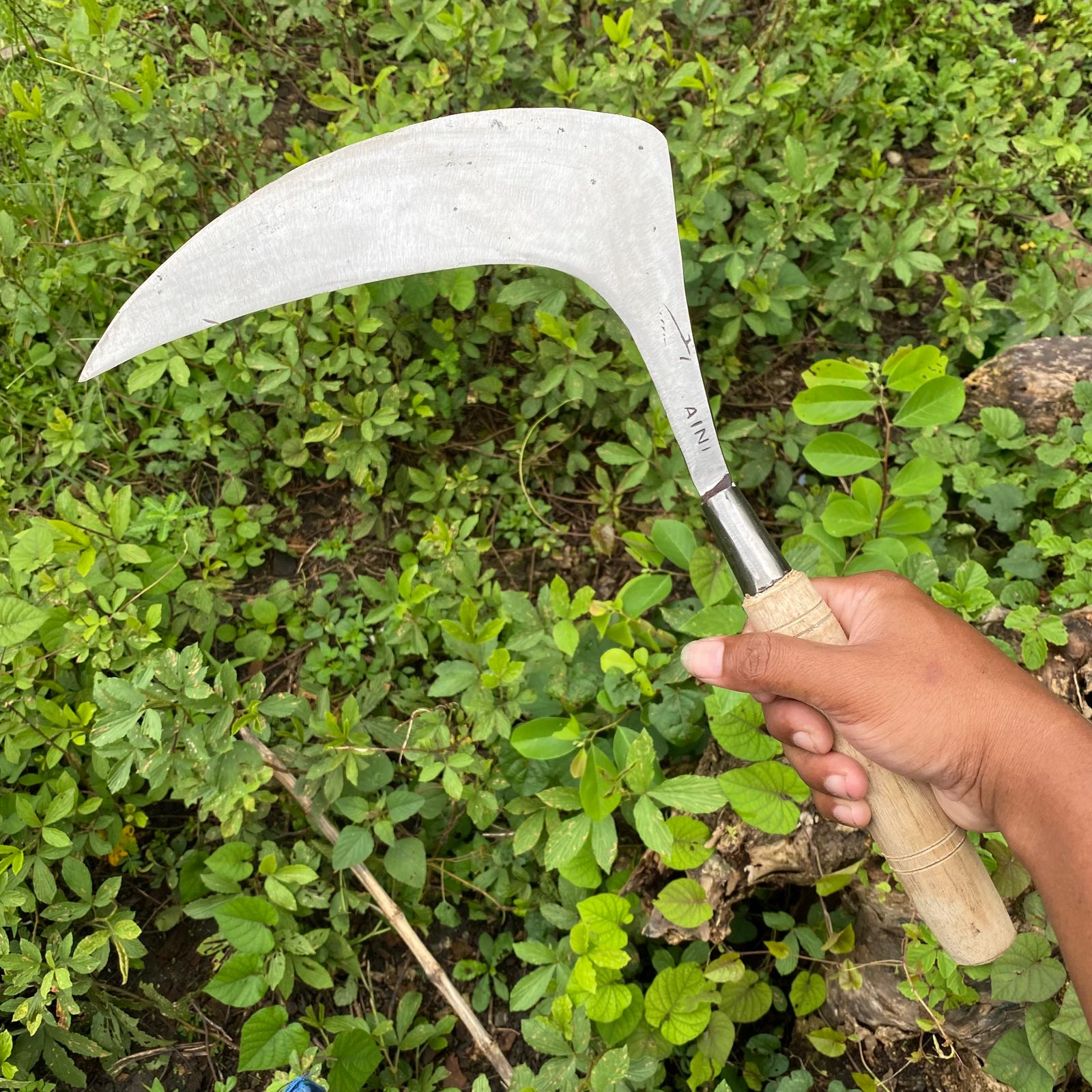 Sabit Arit Model Jepang Bahan Baja Putih - Aret Potong Rumput Padi ...