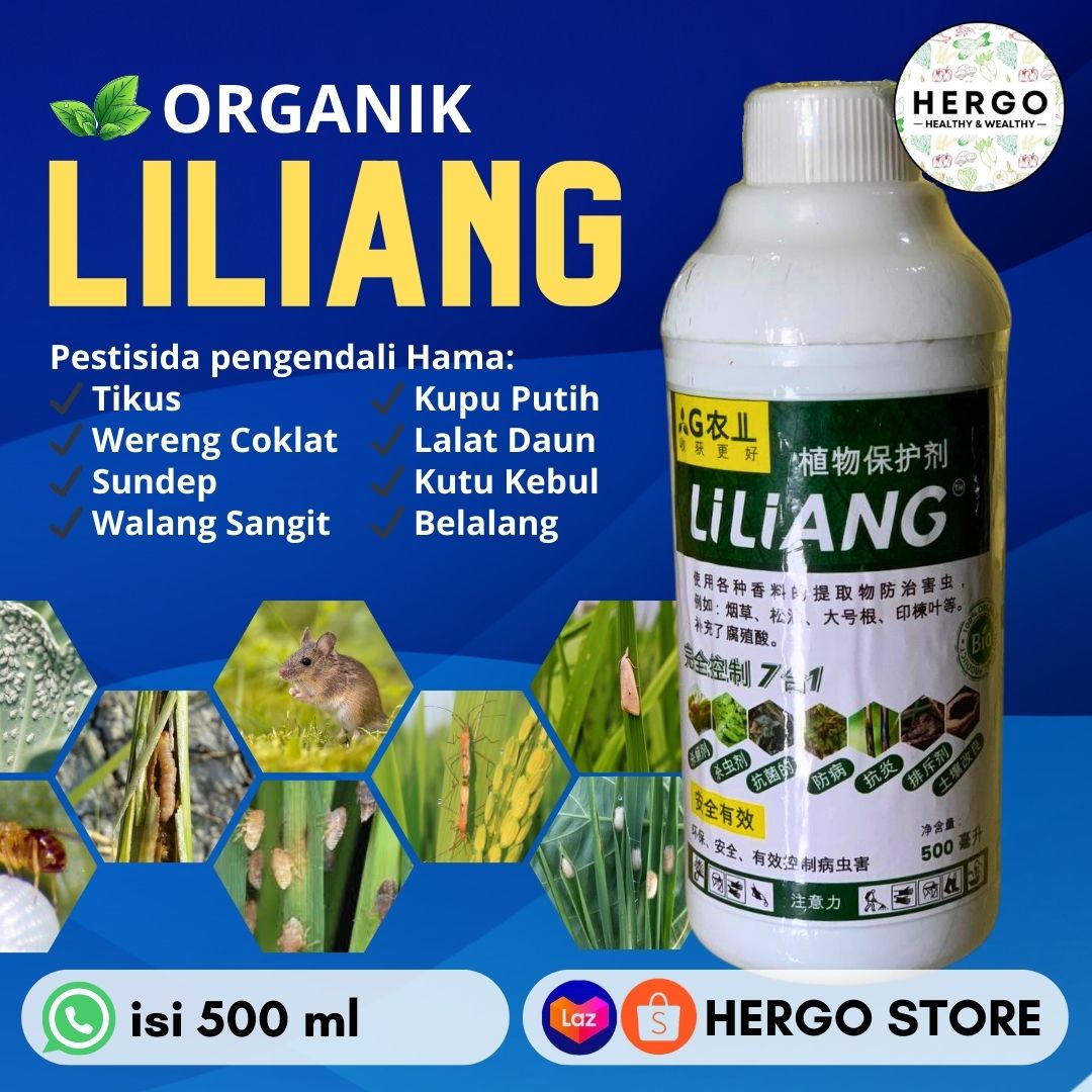 LILIANG Pestisida Organik Mengatasi Hama Tikus, Wereng, Kaper, Kungkang ...