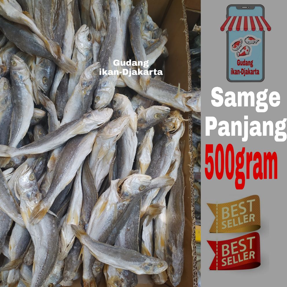 ikan asin samge panjang-500gram | Lazada Indonesia