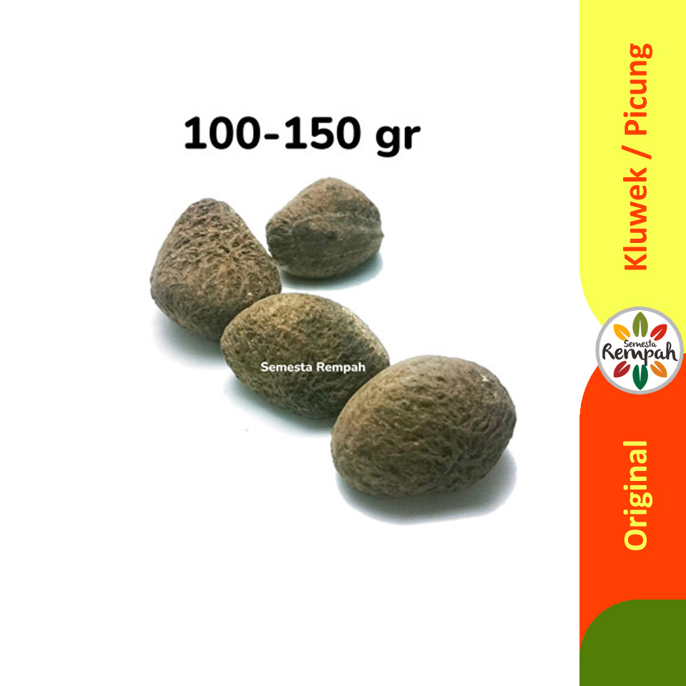 Kluwak Kluwek Kepayang Pucung Picung 100 gr - 150 gr resep bahan rawon ...