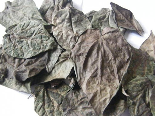 jamu tradisional/daun sirih merah/daun sirih merah kering dalam kemasan ...