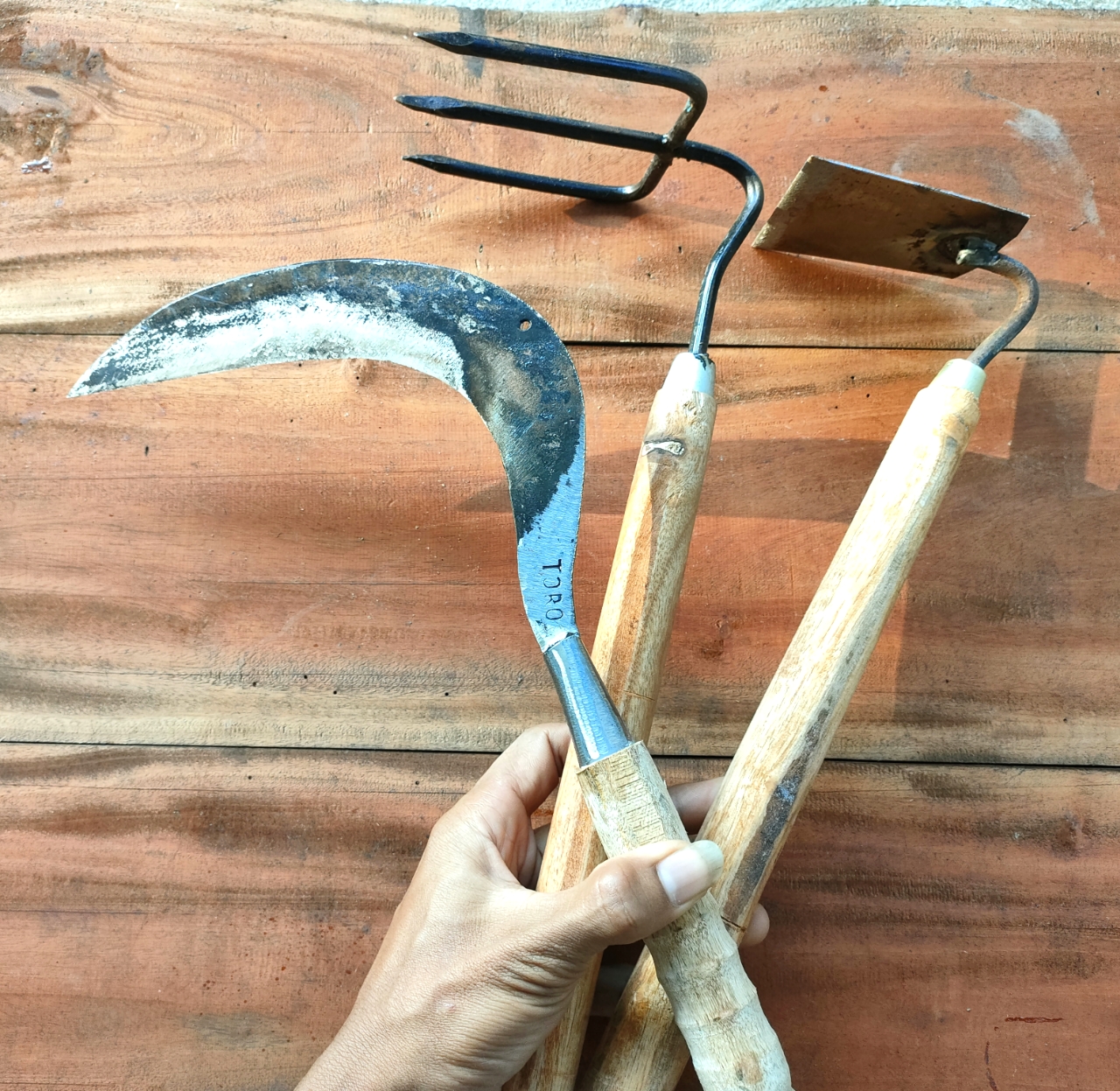 Paket komplit isi 3 pcs - Garuk,Cangkul mini dan Sabit - alat kebun ...