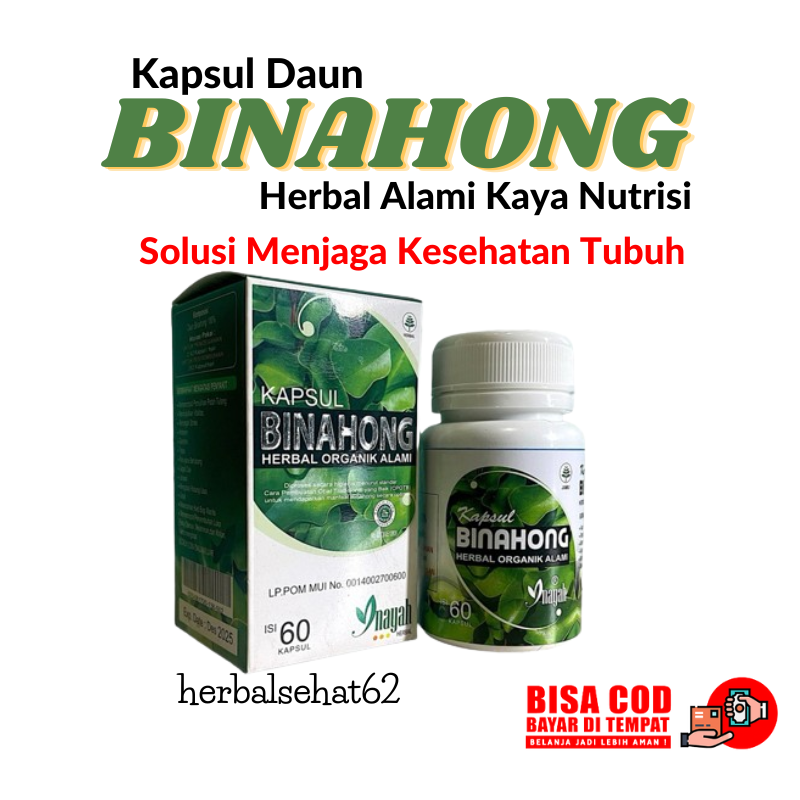 Kapsul Binahong Asli Original Bpom | Lazada Indonesia