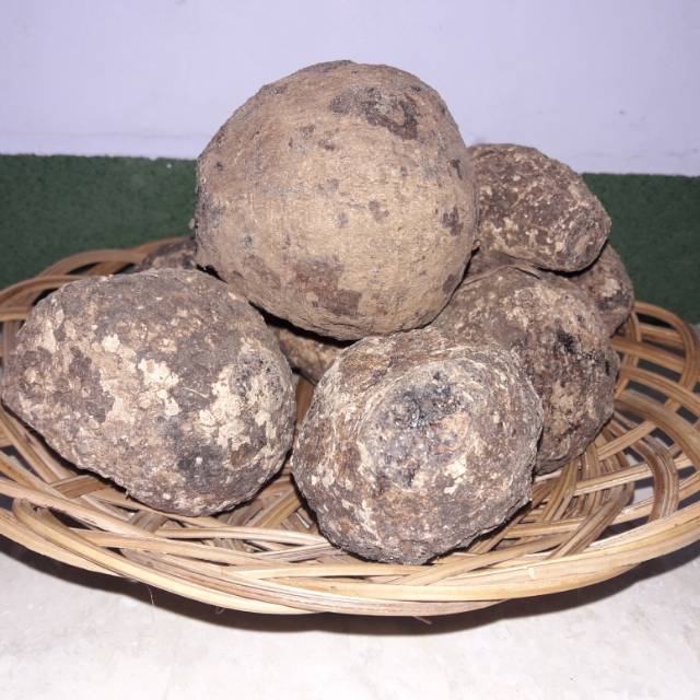 Umbi Bidara Upas 1kg | Lazada Indonesia