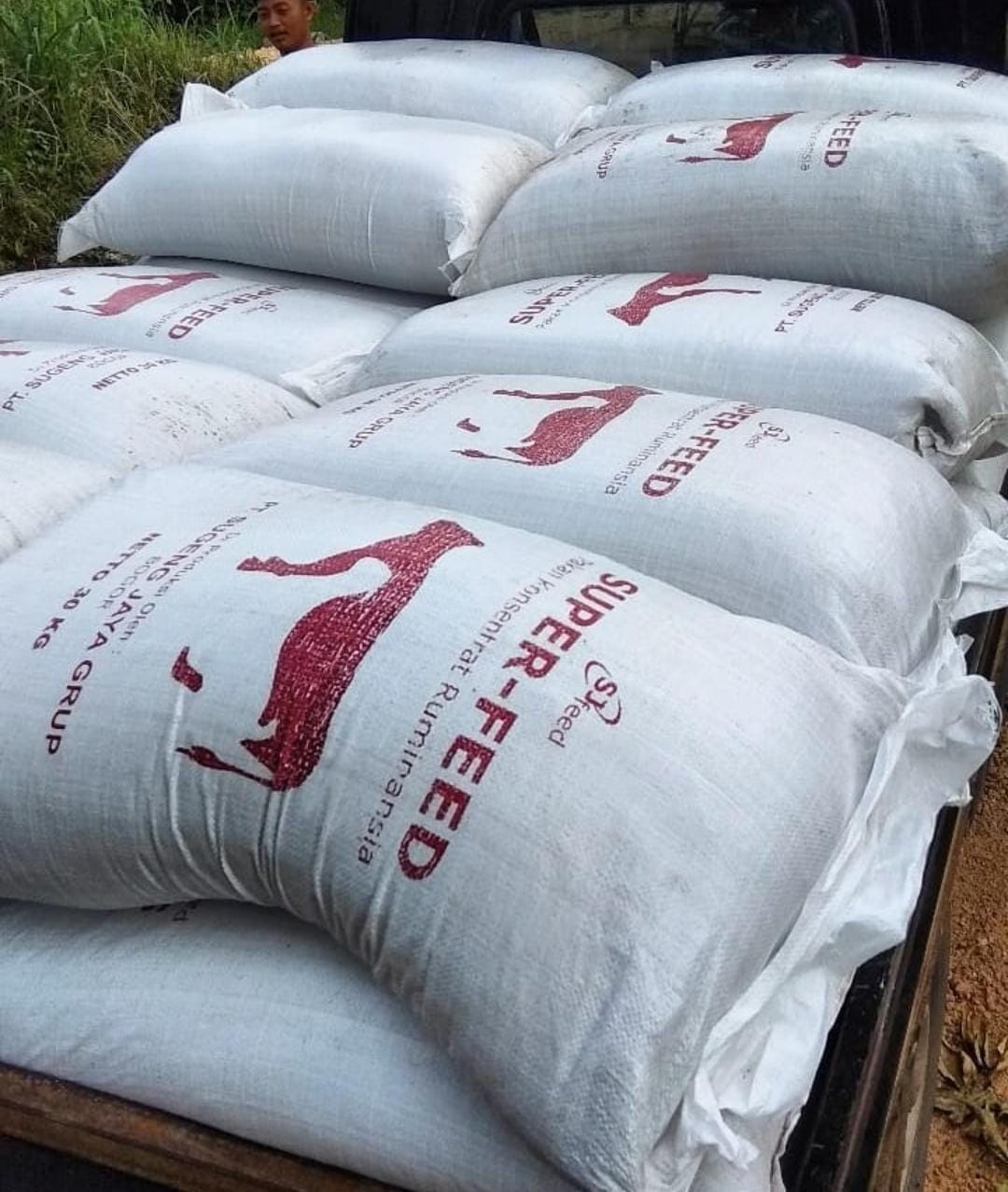 Super Feed - Pakan Hewan F8 (Penggemukan) - Star Farm | Lazada Indonesia