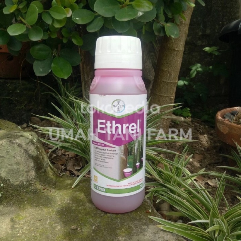 ZPT Ethrel 10 PA Pemacu Pelancar Getah Karet 500 ml | Lazada Indonesia