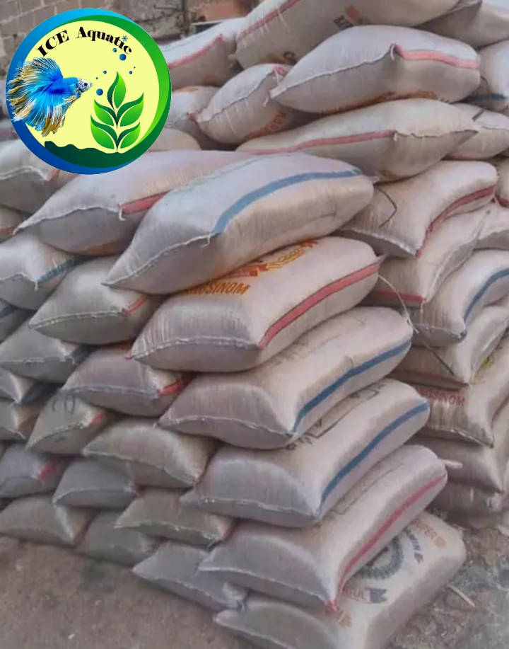 SEKAM MENTAH 1 KARUNG FULL KULIT PADI KARUNG BERAS 50 KG MEDIA TANAM ...