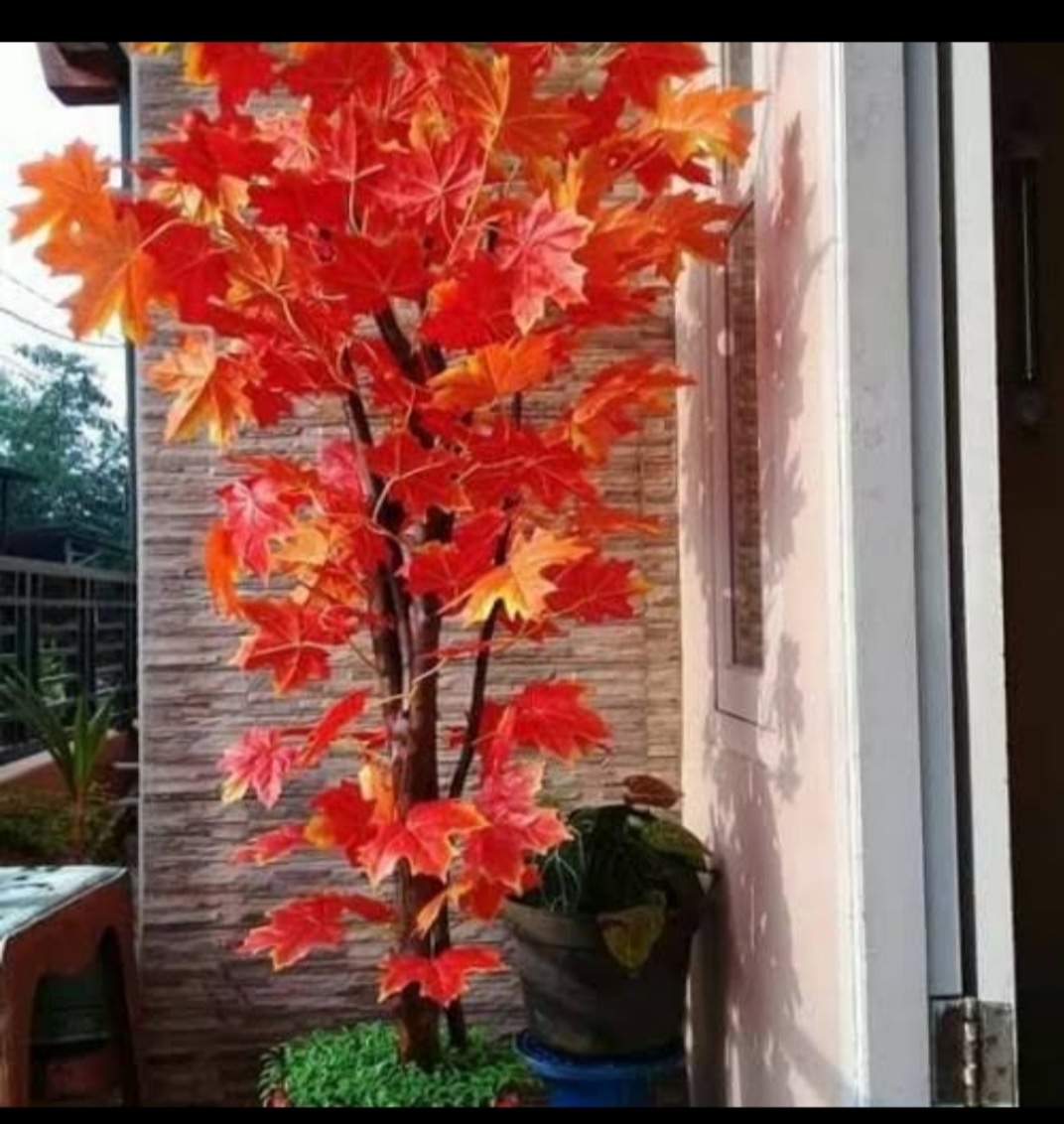 POHON MAPEL ARTIFICIAL TINGGI 80CM - BUNGA HIAS RUANGAN SUDAH TERMASUK ...