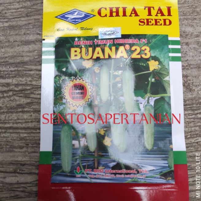 BUANA 23 20gram benih timun baby ketimun lalap hibrida f1 dari CAP ...