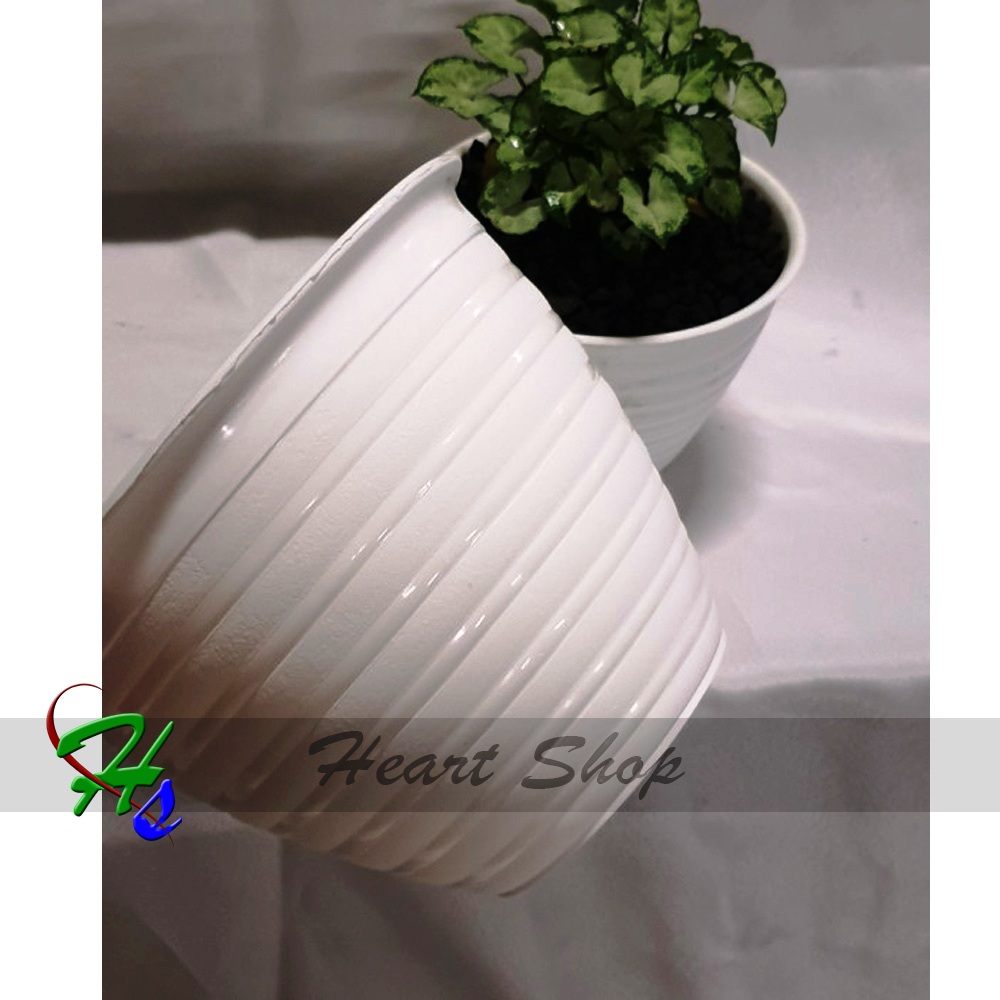 pot bunga No.10 / Pot plastik putih / Pot ukuran 10 / Pot 12 Buah / pot ...