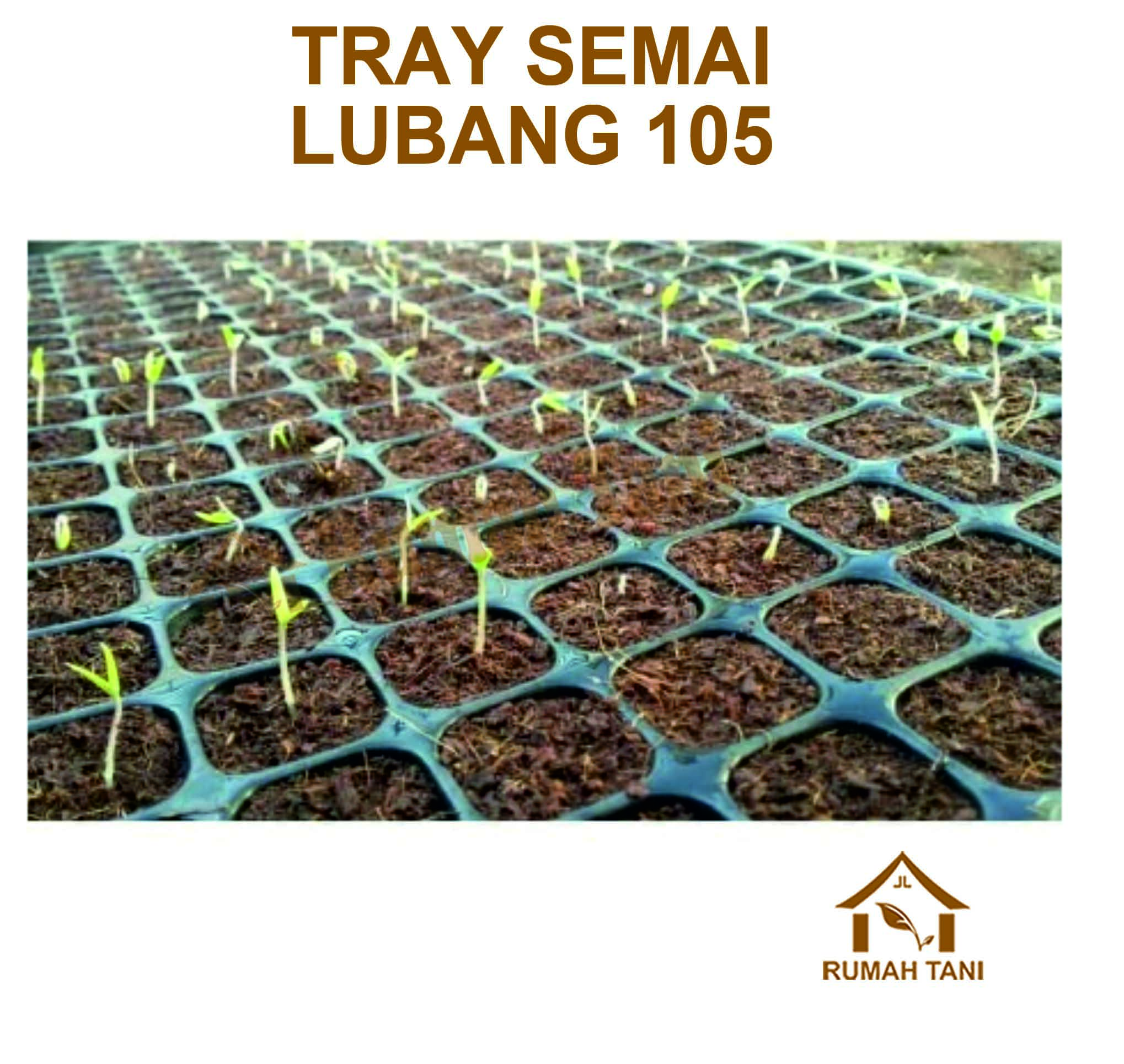 Tray Semai Lubang 105 | Lazada Indonesia