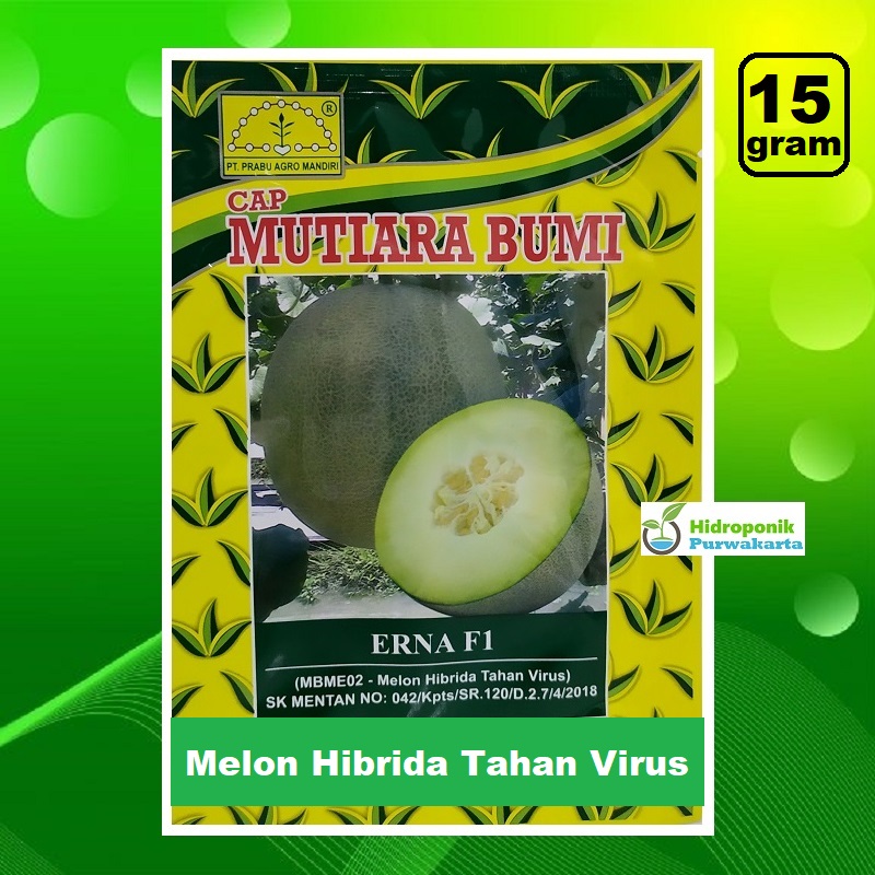 Benih Melon ERNA F1 Cap Mutiara Bumi 15 Gram Tahan Gemini Virus Semi ...