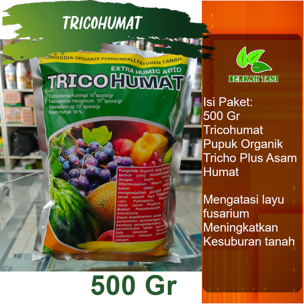 Tricohumat 500 Gram Pupuk Tricoderma Plus Asam Humat Anti Layu Fusarium ... Tricohumat 500 Gram Pupuk Tricoderma Plus Asam Humat Anti Layu Fusarium ...
