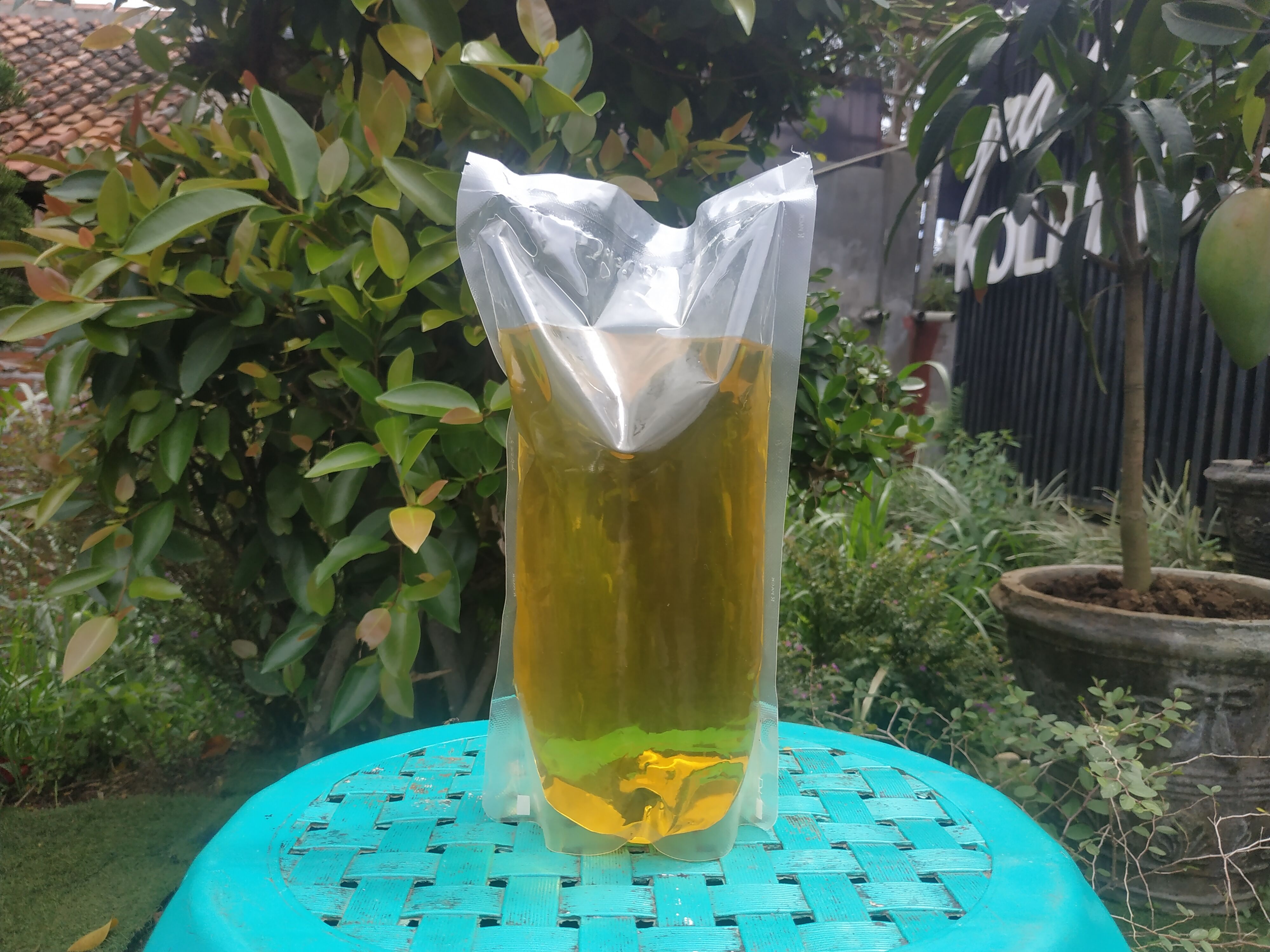 Minyak Goreng Curah Jernih Bening Kemasan Pouch 1L CP 9 | Lazada Indonesia