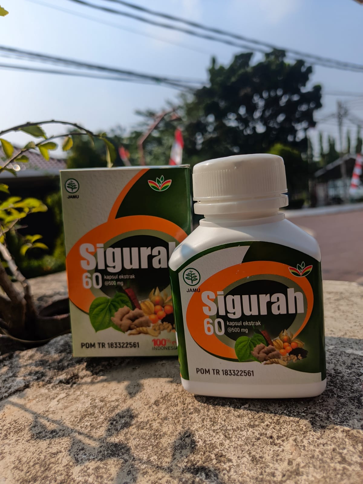 Kapsul Herbal Sigurah - Herbal Gurah / Gurah Suara / Penghilang Dahak ...