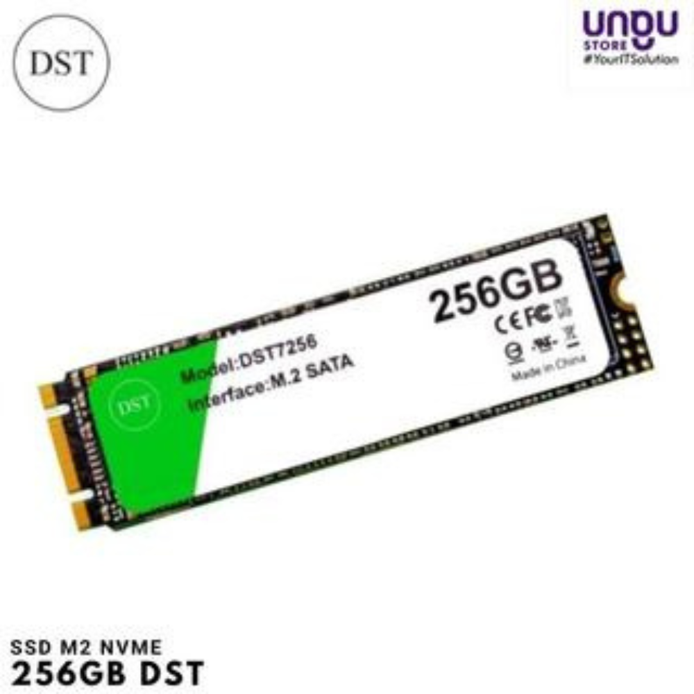 SSD M2 256Gb DST NVMe - SSD M2 NVMe - M2NVMe SSD Laptop dan PC Komputer ...