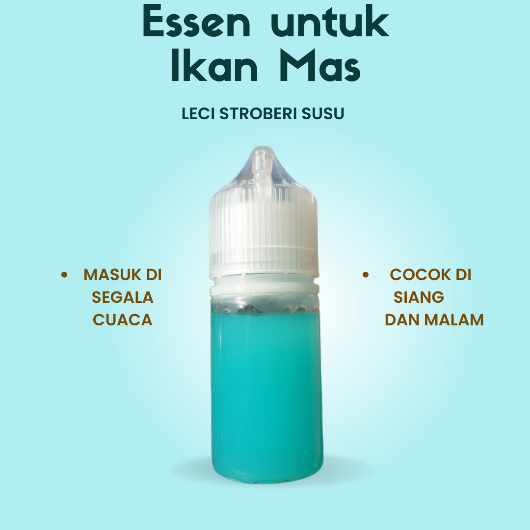essen LECI STOBERI SUSU semua umpan masuk target ikan indukan | Lazada ...