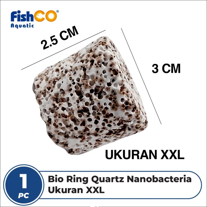Bio Ring Quartz Nanobacteria Ukuran XXL Rumah Bakteri Eceran 1Pc ...