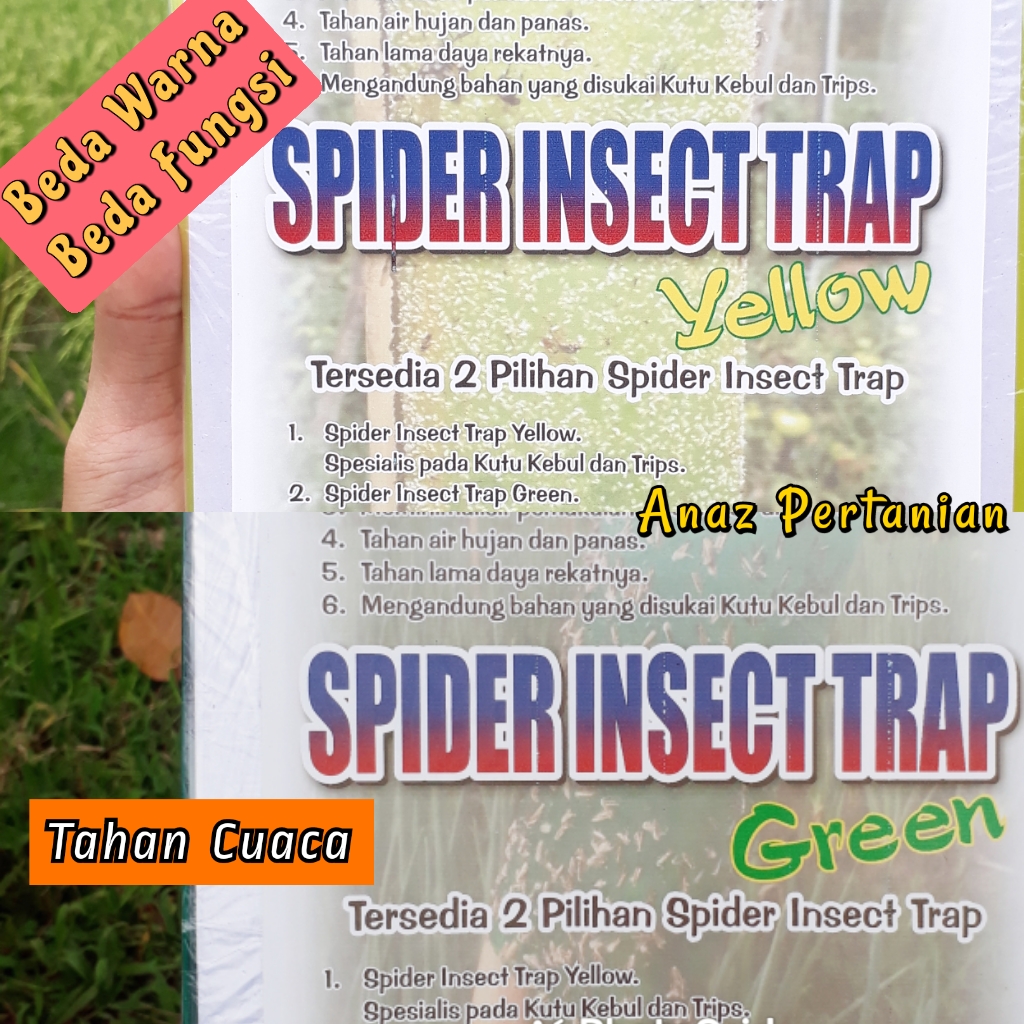 Spider Insect Trap 100 Lembar Lem Perangkap Kutu Kebul Thrips Hama ...